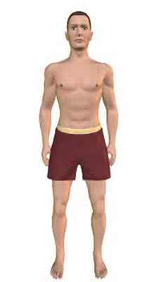 Internal oblique: Origin, insertion and function | GetBodySmart