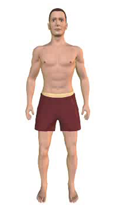 Internal oblique: Origin, insertion and function | GetBodySmart