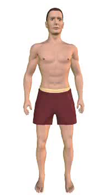 Internal oblique: Origin, insertion and function | GetBodySmart