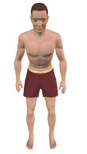 Iliacus muscle: origin, insertion and action | GetBodySmart