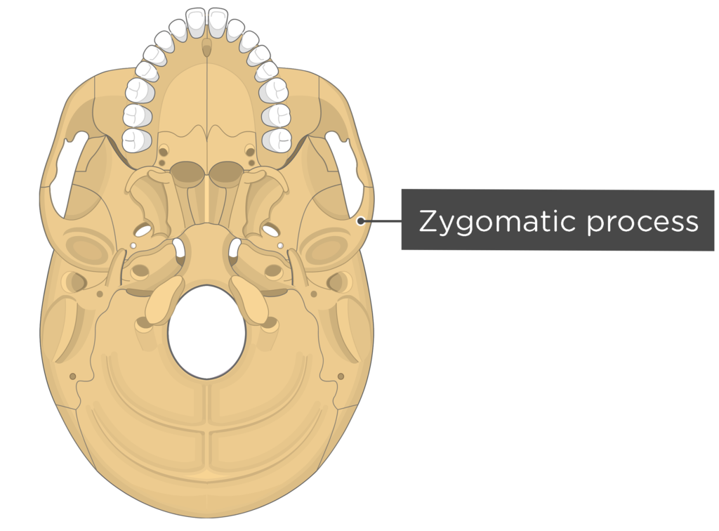 Process Bone Marking