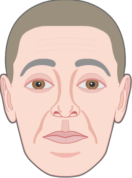 Frontalis Muscle - Attachments, Actions & Innervation | GetBodySmart