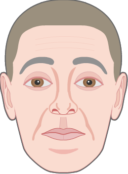 Frontalis Muscle - Attachments, Actions & Innervation | GetBodySmart