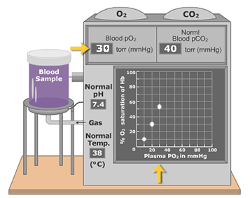 Oxygen-Hemoglobin Dissociation Curve | How pH, CO and CO2 Affect it ...