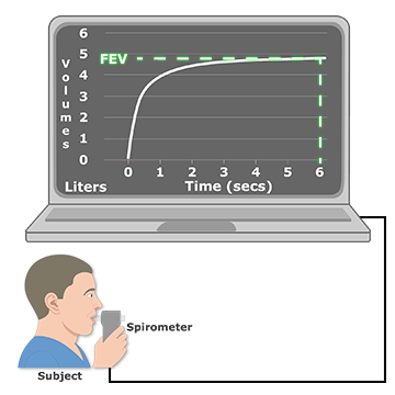 Spirometry: pulmonary function test | GetBodySmart