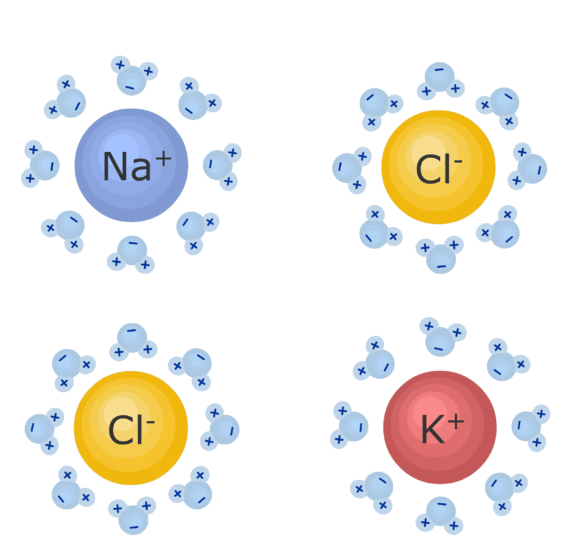Ions - Cations and Anions | GetBodySmart