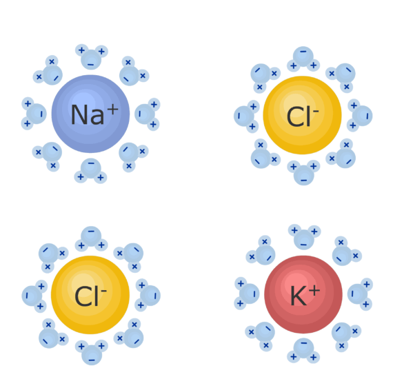 Cations and Anions: examples and diagrams | GetBodySmart