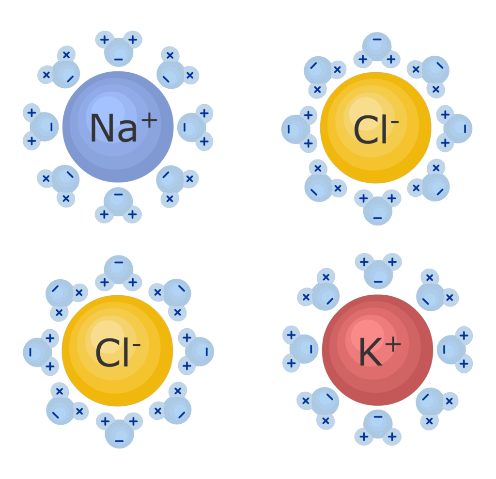 Cation And Anion