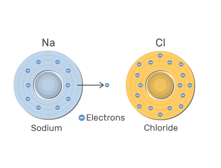 Cations and Anions: examples and diagrams | GetBodySmart