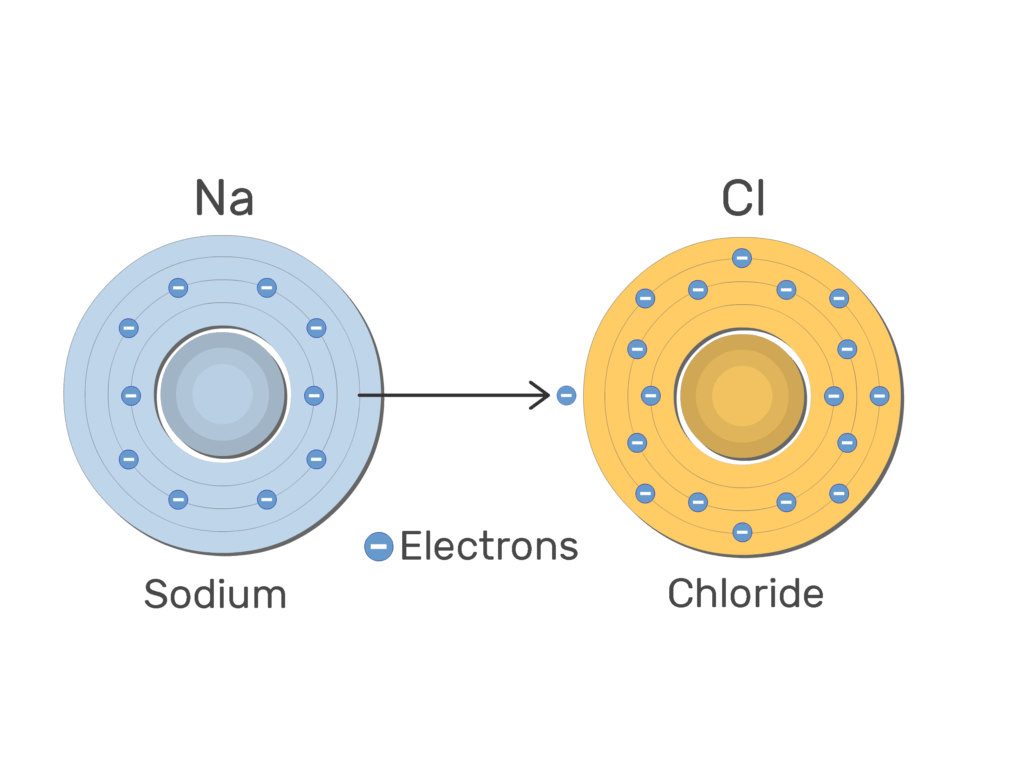 Ion Diagram