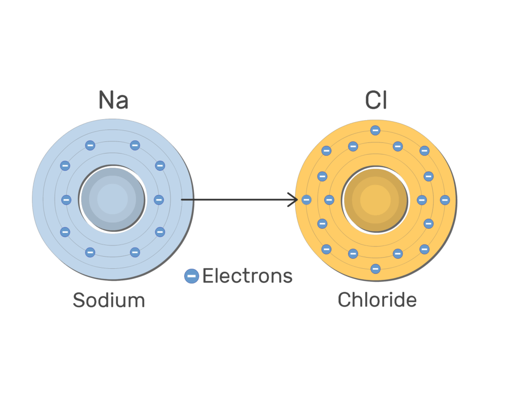 Bohr Diagram Sodium Ion