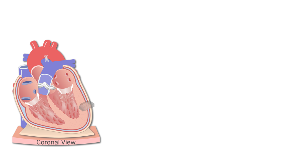 Layers Of The Heart