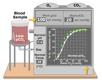 Oxygen-Hemoglobin Dissociation Curve | How pH, CO and CO2 Affect it ...