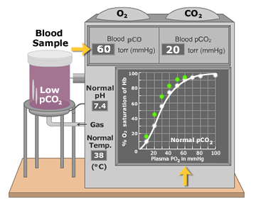 Oxygen-Hemoglobin Dissociation Curve | How pH, CO and CO2 Affect it ...