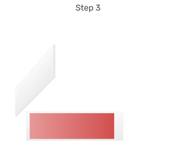 Differential blood test: process and interactive diagrams | GetBodySmart