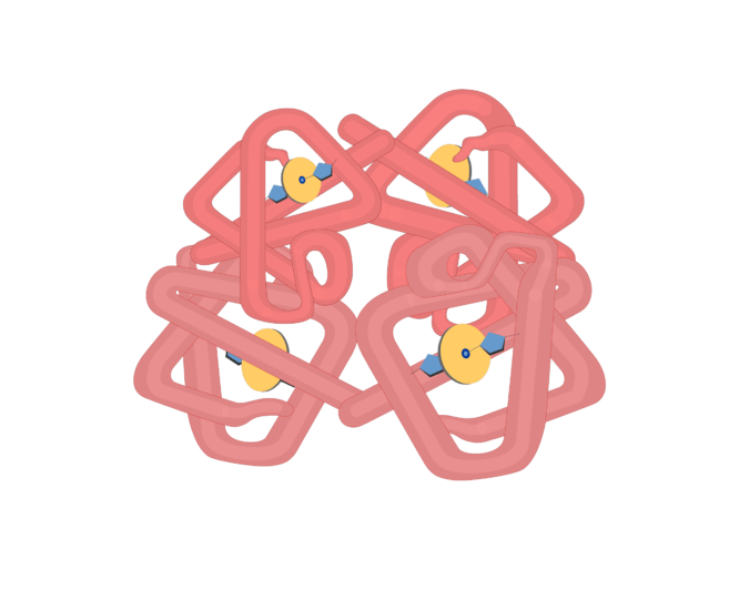 Oxygen transport in blood: interactive diagram | GetBodySmart