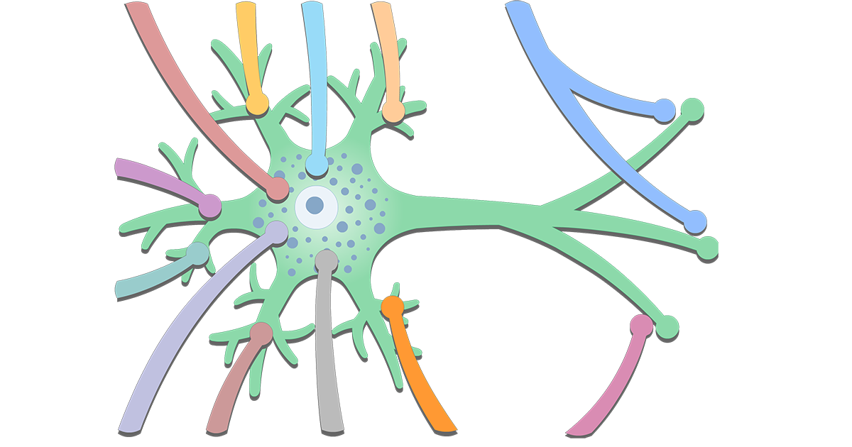 Axodendritic, axosomatic and axoaxonic synapses | GetBodySmart