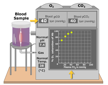 Oxygen Myoglobin Dissociation Curve | GetBodySmart