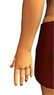 Extensor carpi ulnaris: origin, insertion, action | GetBodySmart