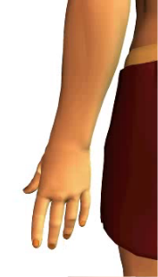 Extensor Carpi Radialis Brevis Muscle | GetBodySmart