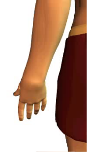 Extensor Digitorum Muscle: origin, insertion, action | GetBodySmart