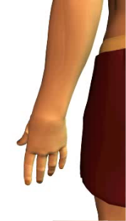 Extensor Digitorum Muscle: origin, insertion, action | GetBodySmart